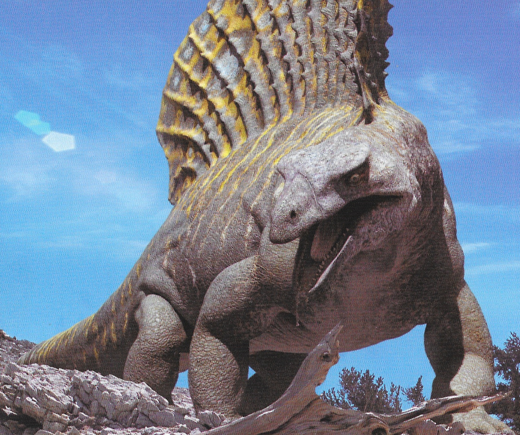 Edaphosaurus Walking With Wikis Fandom Powered By Wikia