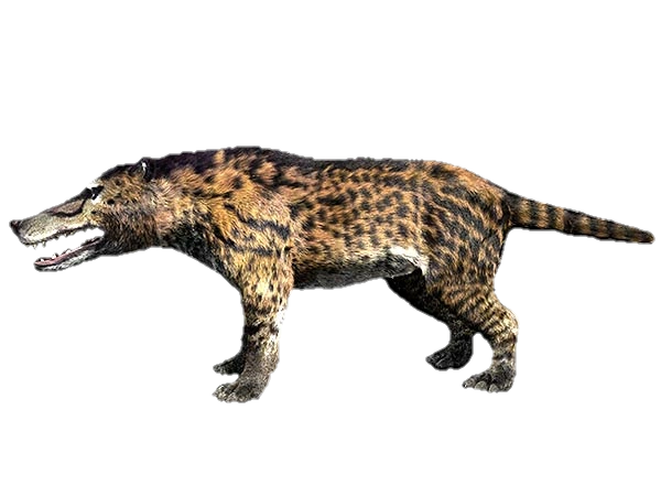 Andrewsarchus | Walking With Wikis | Fandom