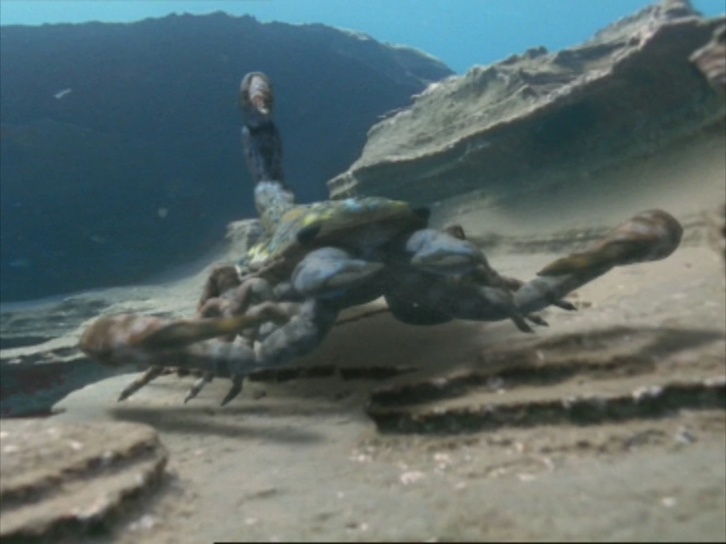 Brontoscorpio | Walking With Wikis | FANDOM powered by Wikia