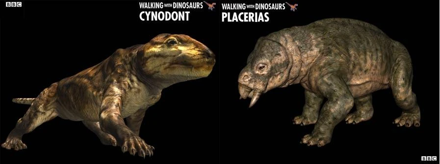 Therapsid | Walking With Wikis | FANDOM powered by Wikia