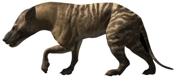 Hyaenodon | Walking With Wikis | FANDOM powered by Wikia