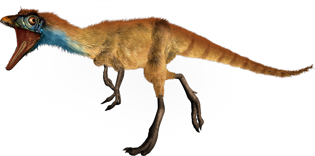 Compsognathus Walking With Wikis Fandom Powered By Wikia