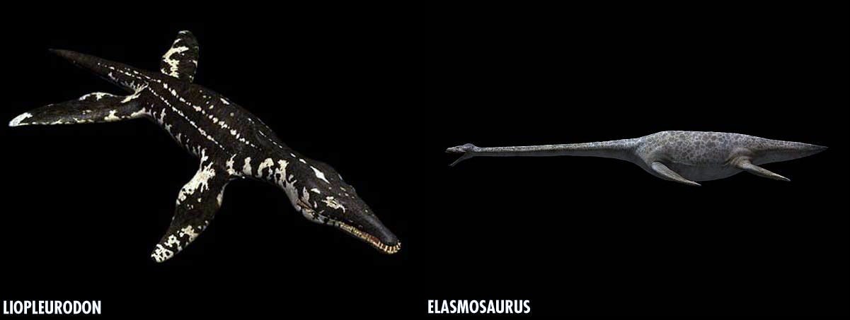 Plesiosaurs Walking With Wikis Fandom Powered By Wikia