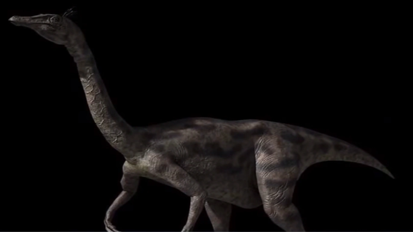 Ornithomimosaurs | Walking With Wikis | FANDOM powered by Wikia