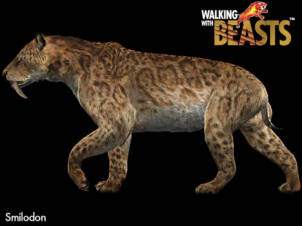 Smilodon Walking With Dinosaurs Wiki Fandom Powered By Wikia