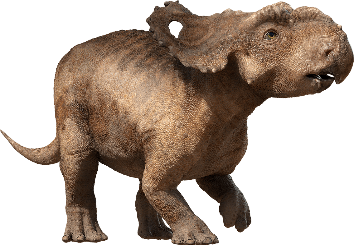 Image Patchi Png Walking With Dinosaurs Wiki Fandom Powered By Wikia