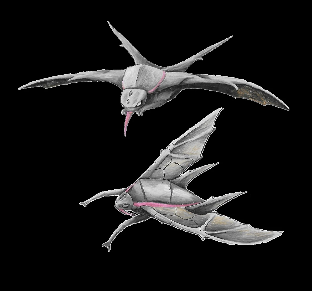 Paper Hawk | Wallace II Ben G Thomas Wiki | Fandom