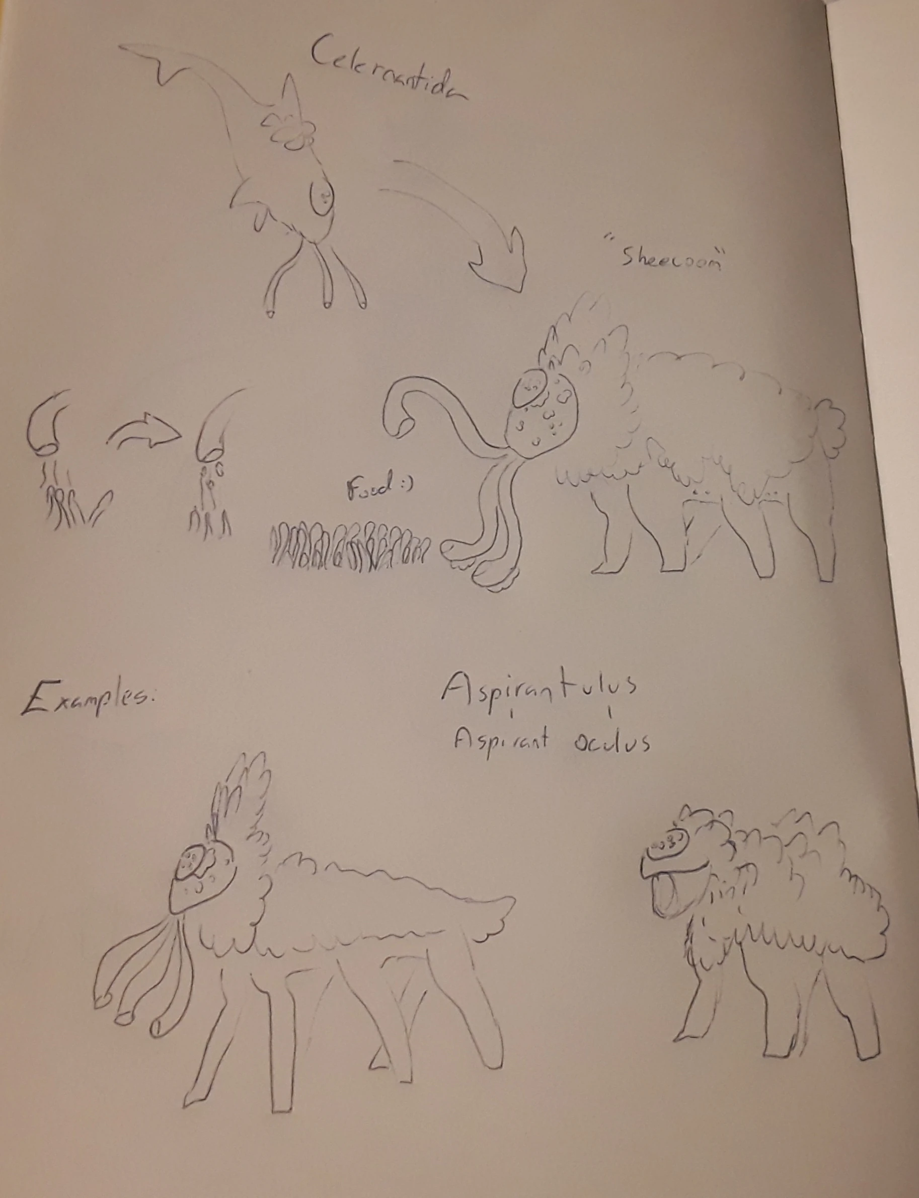 Sheecooms | Wallace II Ben G Thomas Wiki | Fandom