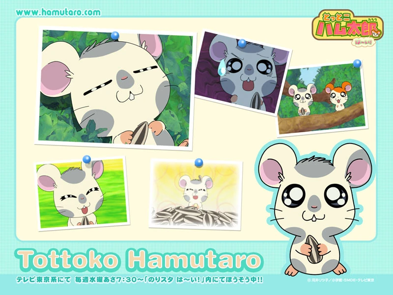 Tottoko Hamutaro Wallpaper (3) | Wallpapers Wiki | Fandom