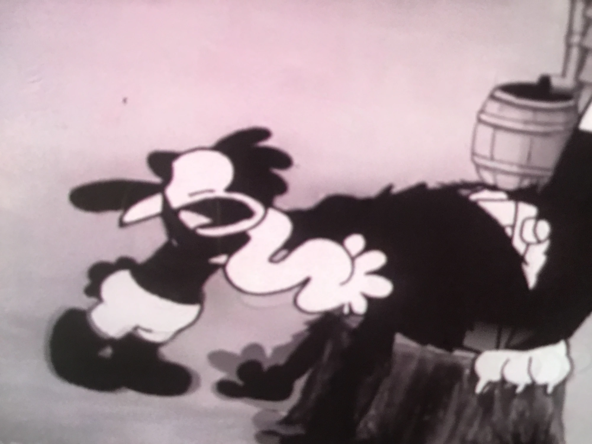 Cold Turkey | Walter Lantz Wiki | Fandom