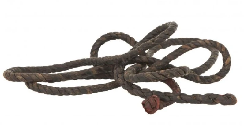 Tollund Man Rope | Warehouse 13 Artifact Database Wiki | Fandom