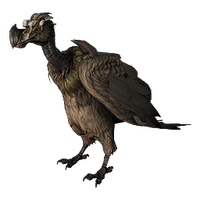 Conservation | WARFRAME Wiki | Fandom