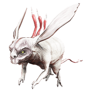 Kuaka | WARFRAME Wiki | FANDOM powered by Wikia