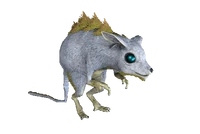 Conservation | WARFRAME Wiki | Fandom