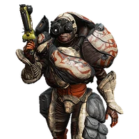 Seeker | WARFRAME Wiki | Fandom