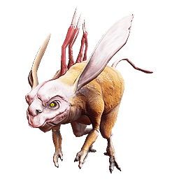 Kuaka | WARFRAME Wiki | Fandom