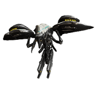 Corpus | WARFRAME Wiki | Fandom