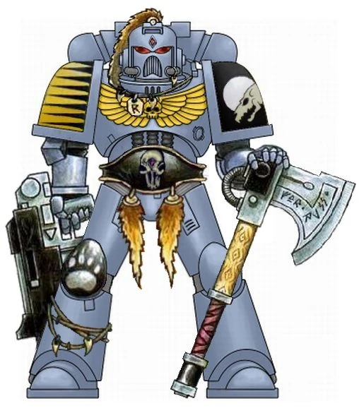 Image - Space Wolves Marine.jpg | Warhammer 40k | FANDOM powered by Wikia