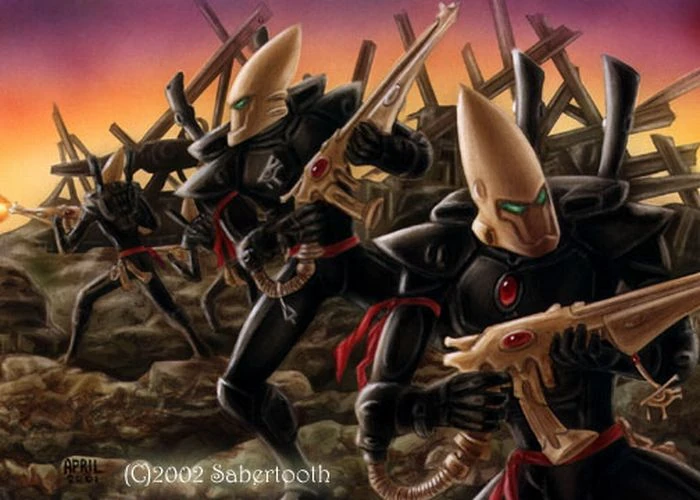 Image - Ulthwe Black Guardian Defenders.jpg | Warhammer 40k | FANDOM ...