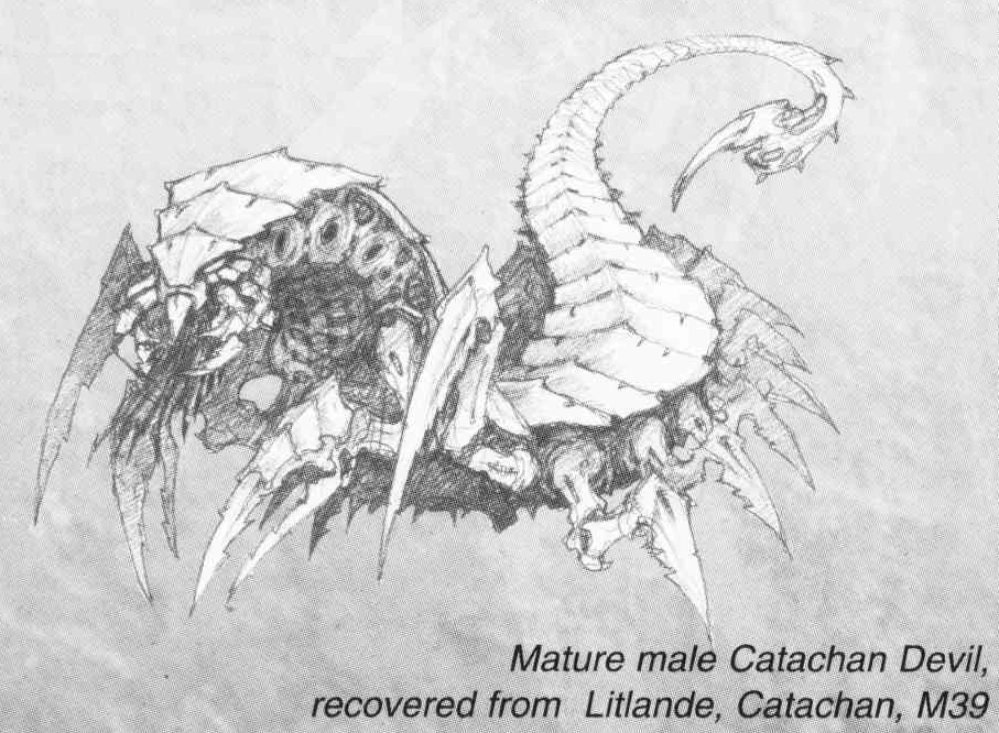 Image - Warhammer 40,000 - Creature, Catachan Devil.png | Warhammer 40k ...