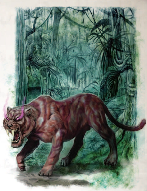 Phyrr Cat | Warhammer 40k | FANDOM powered by Wikia