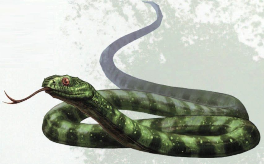 Snake | Warhammer Wiki | Fandom