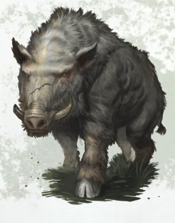 Boar | Warhammer Wiki | Fandom