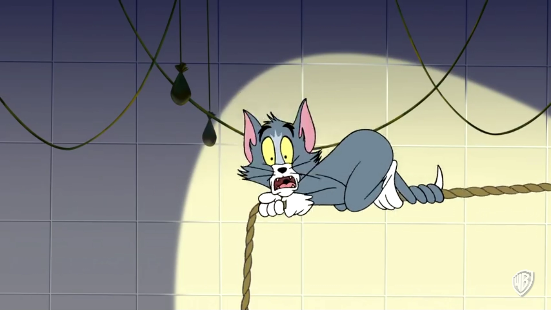 Tom the Cat | Warner Bros characters Wiki | FANDOM powered by Wikia