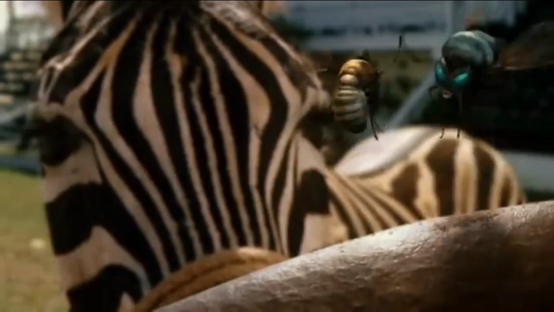 Buzz and Scuzz/Gallery | Warner Bros. Entertainment Wiki | FANDOM ...