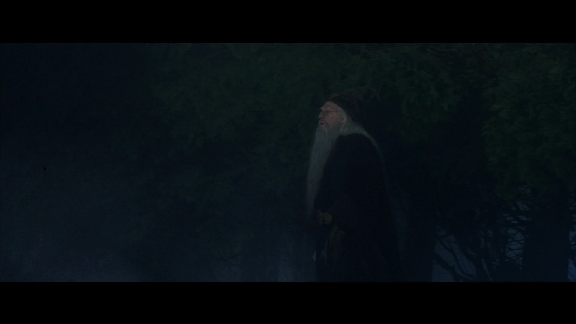 Albus Dumbledore/Gallery | Warner Bros. Entertainment Wiki | FANDOM ...