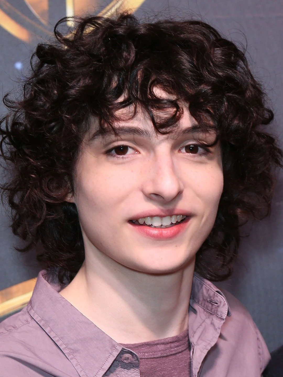 Finn Wolfhard | Warner Bros. Entertainment Wiki | Fandom