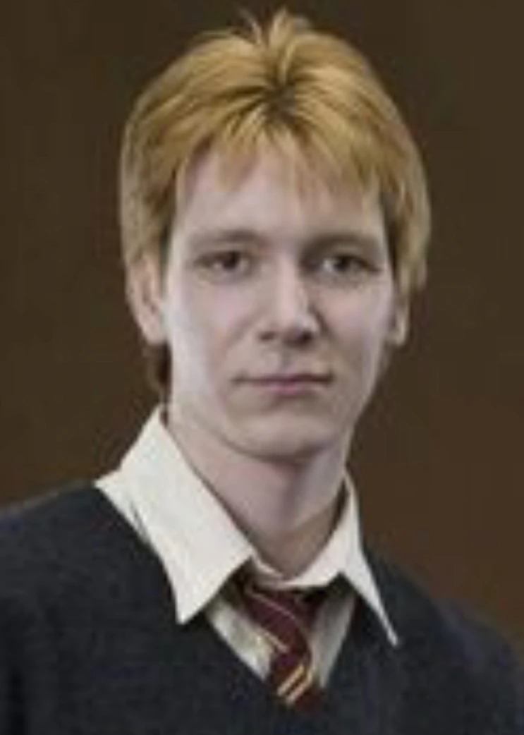 George Weasley | Warner Bros. Entertainment Wiki | Fandom