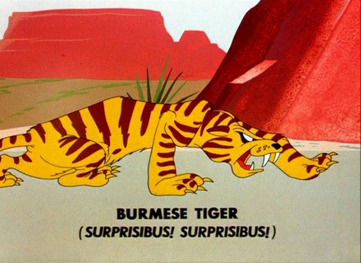 Burmese Tiger | Warner Bros Wiki | FANDOM powered by Wikia