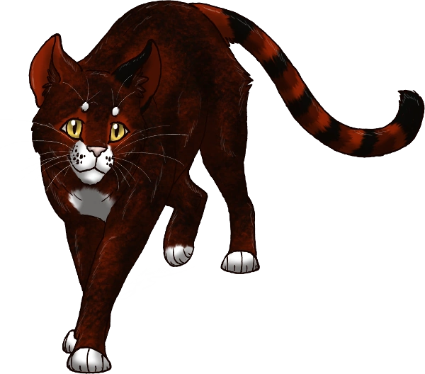 Redpaw | Warrior cats clans Wiki | Fandom
