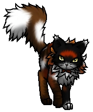 Sol | Warrior Cats Wiki | Fandom