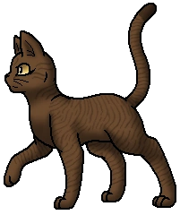 Wind | Warrior Cats Wiki | Fandom
