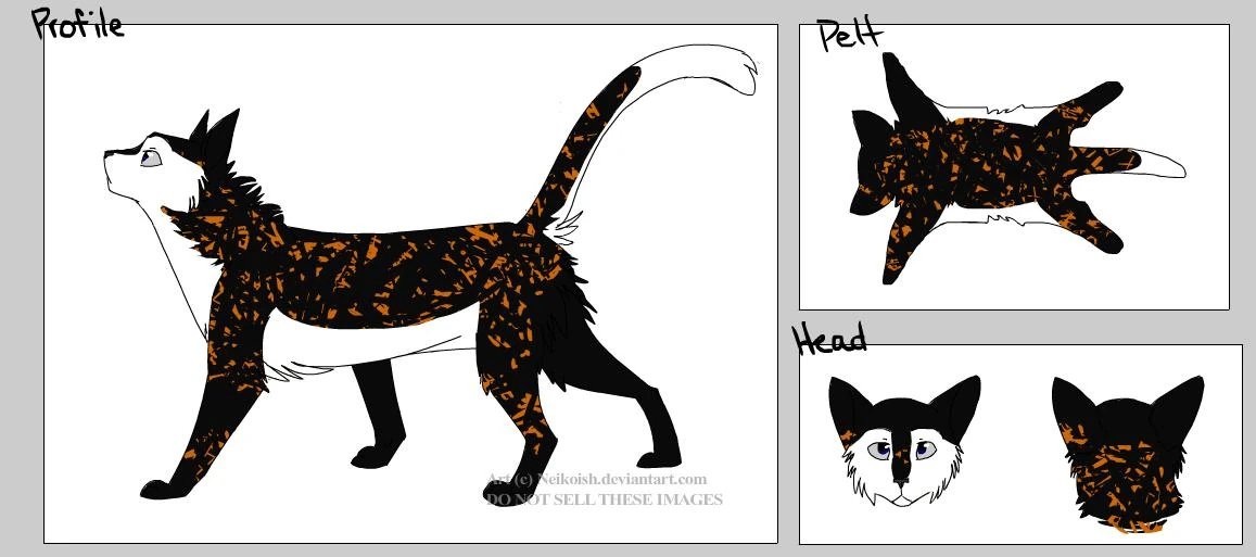 Ivytail (SC) | Warrior Cat RP Wiki | Fandom