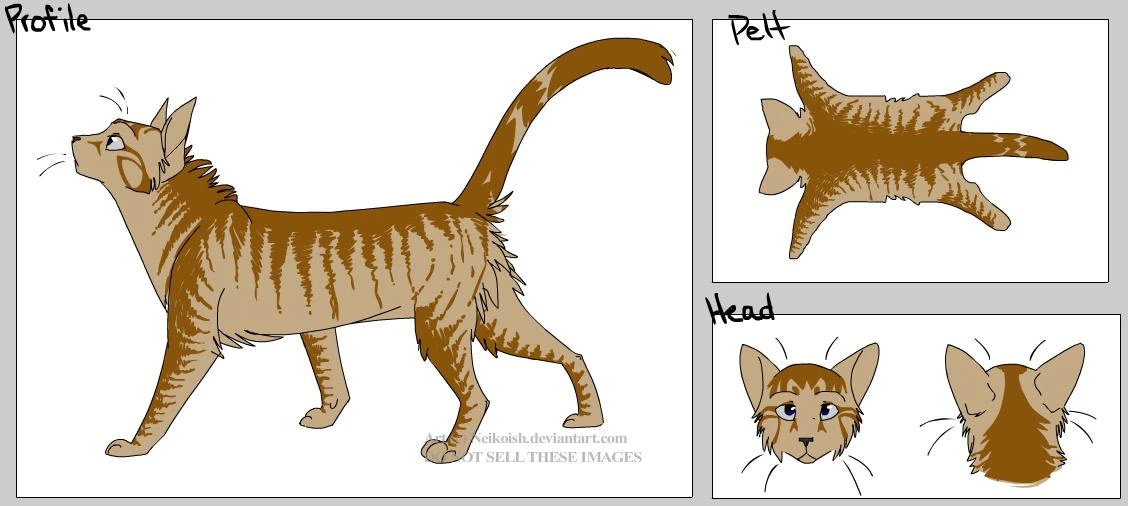 Honeyfern | Warrior Cat RP Wiki | Fandom