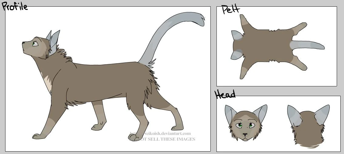 Thrushpelt | Warrior Cat RP Wiki | Fandom
