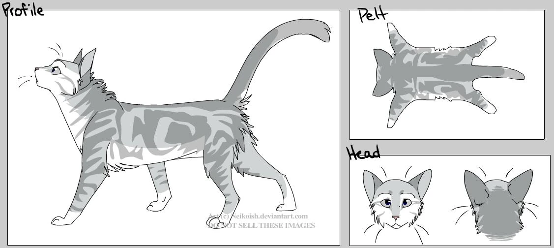 Ivypool | Warrior Cat RP Wiki | Fandom