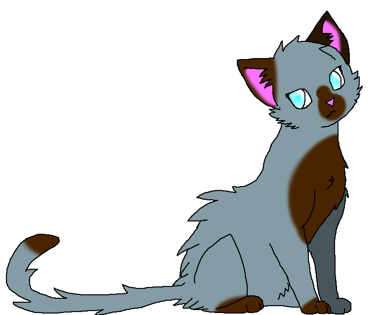 Bluepaw | Warrior Cats Fandom Wiki | Fandom