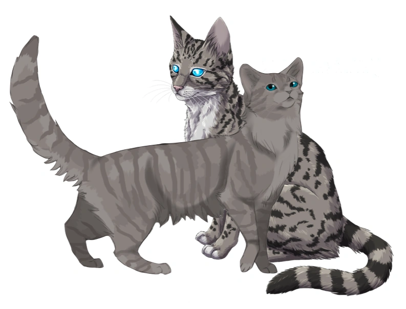 Jayheart | Warriors Couples and Kits Wiki | Fandom