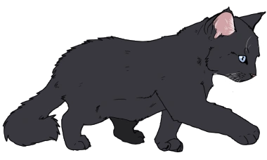 Stormpaw (CoA) | Warriors OC's Wiki | Fandom