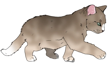 Birchpaw (CoA) | Warriors OC's Wiki | Fandom