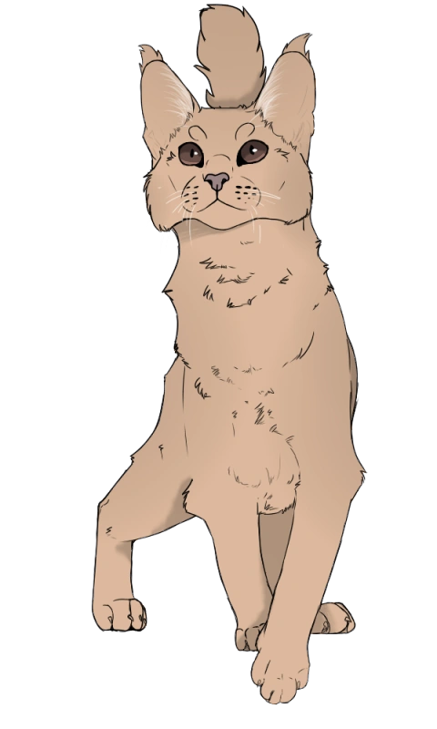 Willowpaw (L) | Warriors OC's Wiki | Fandom