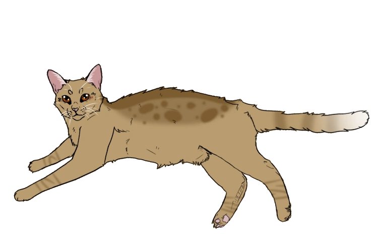 Category:Queen | Warriors OC's Wiki | Fandom