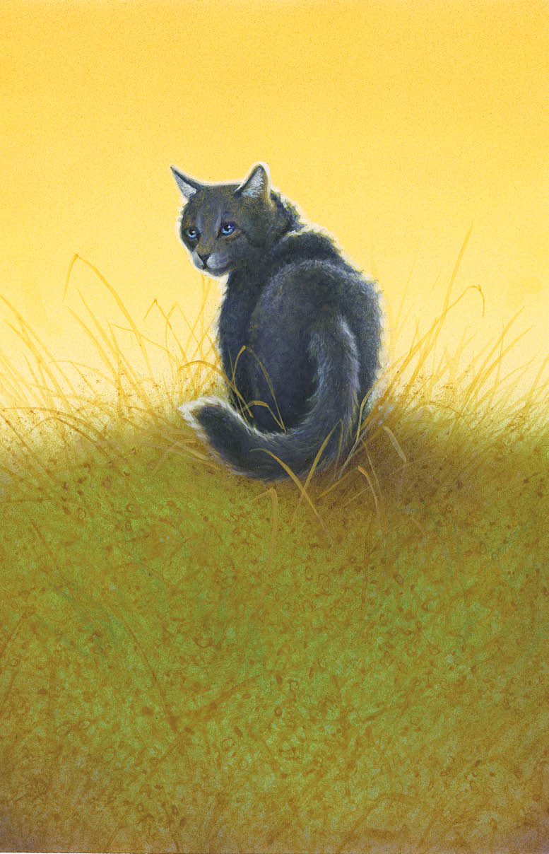 Cinderpelt | Warriors Wiki | FANDOM powered by Wikia Cinderpelt | Warriors Wiki | FANDOM powered by Wikia