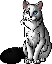 Darktail | Warriors Wiki | FANDOM powered by Wikia