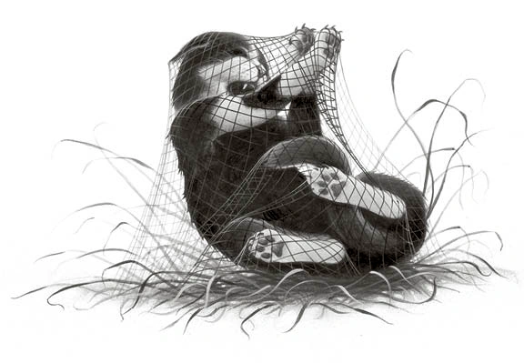 Rabbittail | Warriors Wiki | Fandom