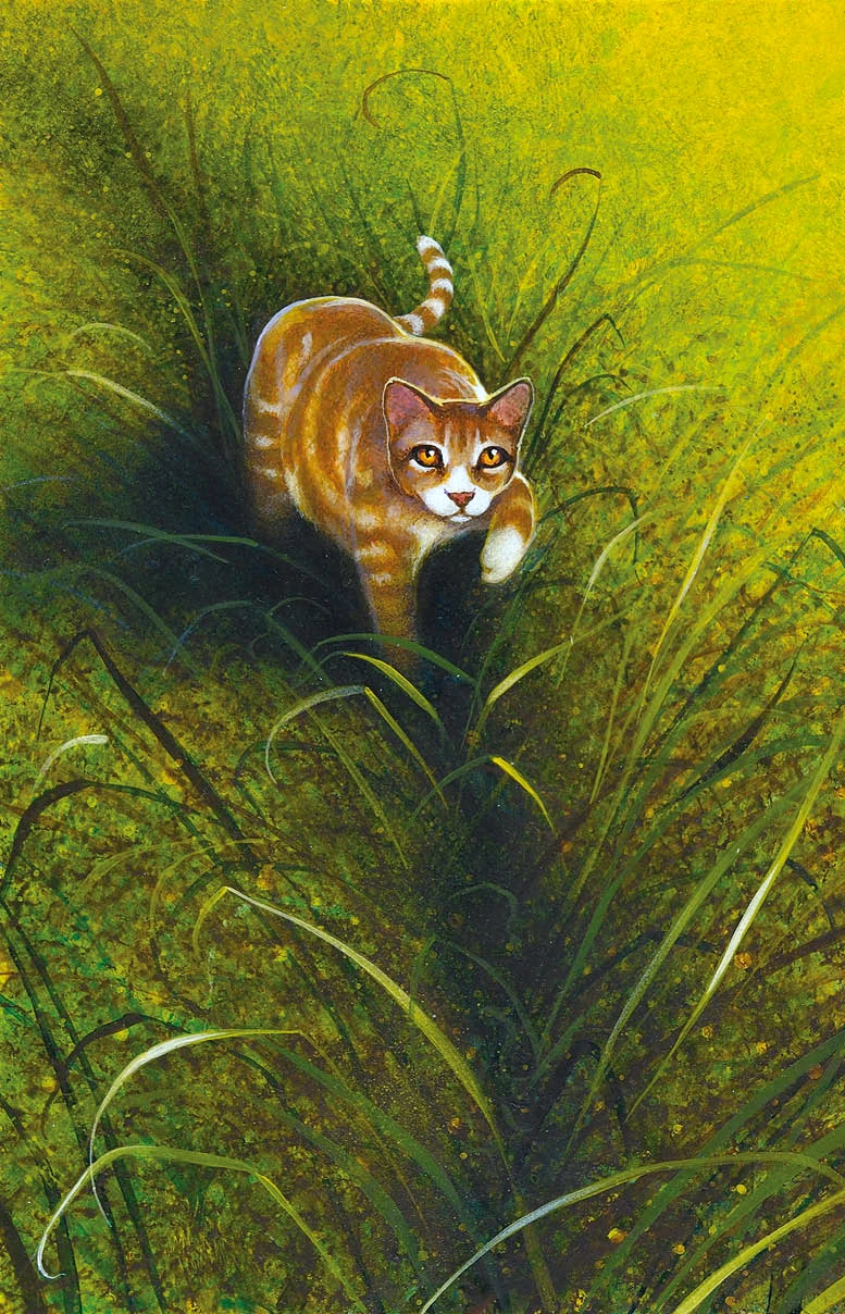 Onestar | Warriors Wiki | FANDOM powered by Wikia